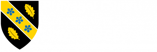 UWTSD Logo Hoodie - The Shop